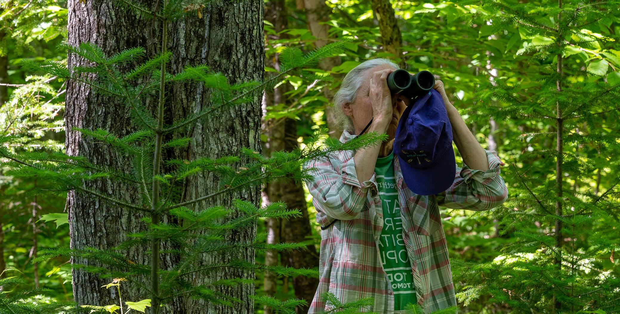 Explore Our Community Forests - Forest Activities & Adventures New England Forestry Foundation