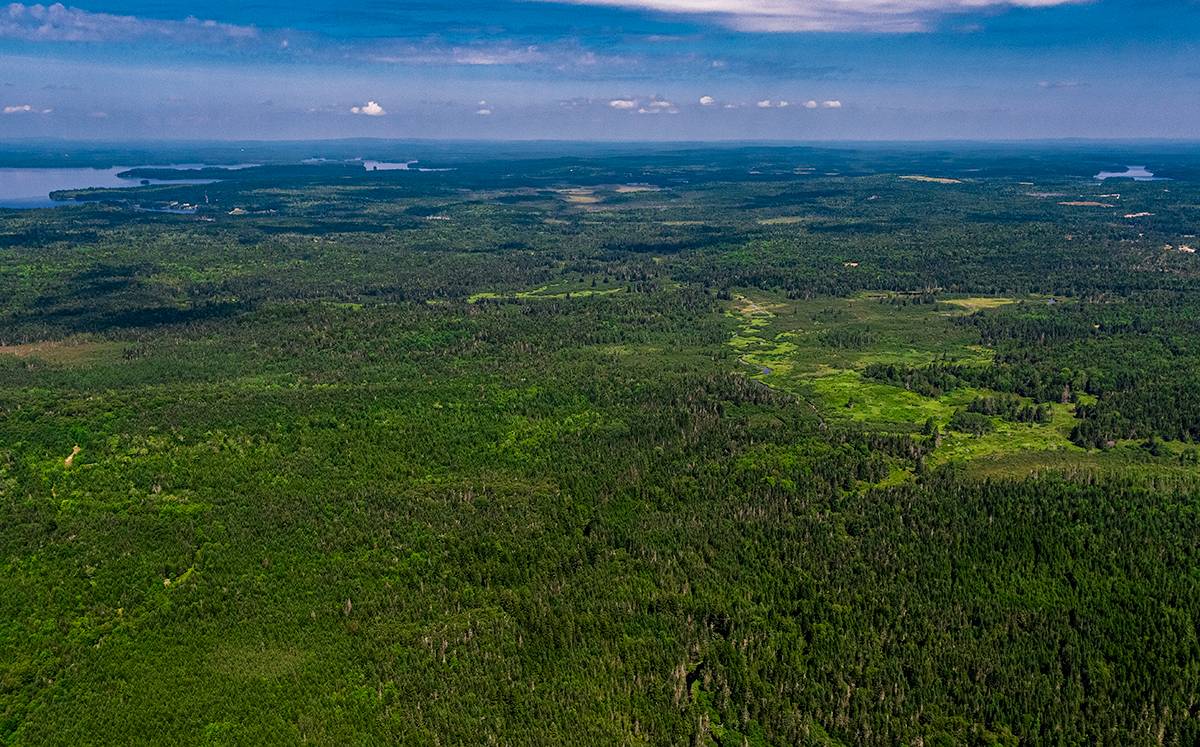 Climate-Smart Commodities Program Canceled by USDA - New England ...