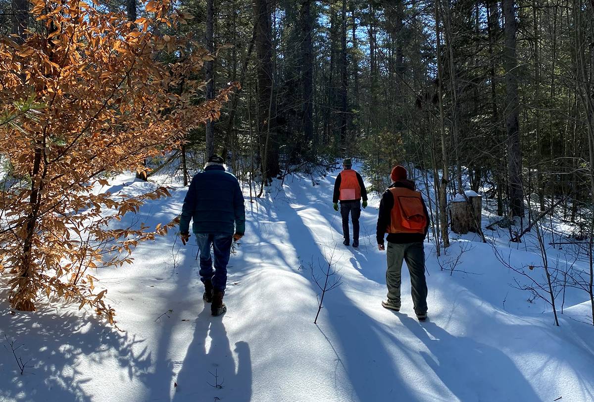 Our Favorite Stories from 2025: From the Woods to the Work Behind Them ...